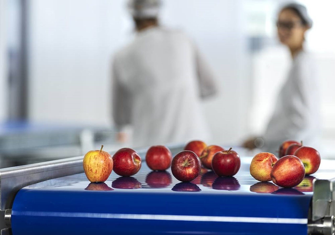 Habasit - Welcome to Habasit