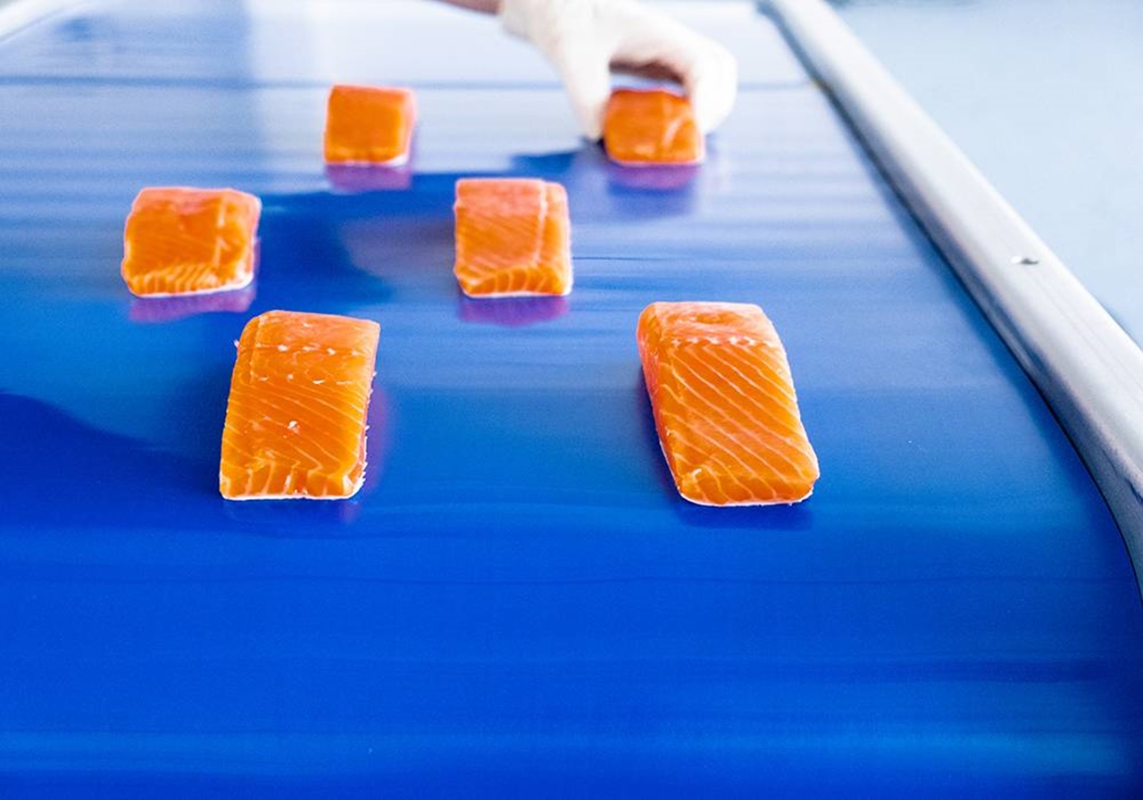 Habasit - Welcome to Habasit